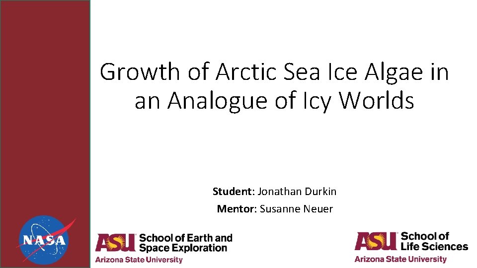 Growth of Arctic Sea Ice Algae in an