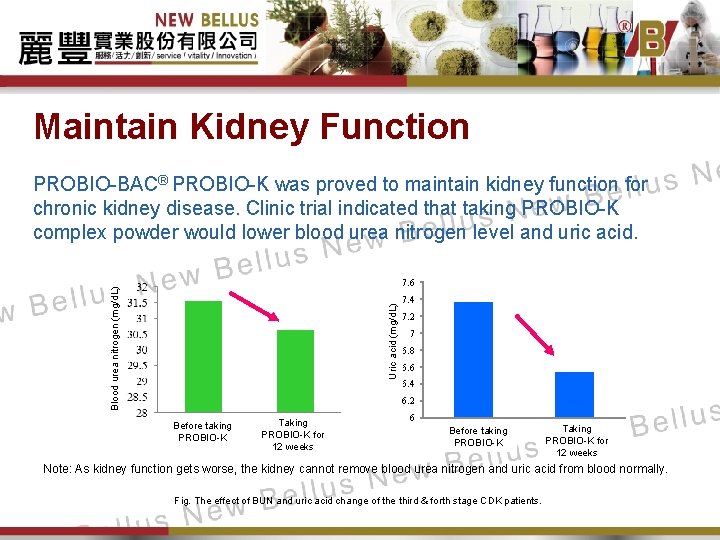 PROBIOK Complex Powder Maintain kidney function for CKD