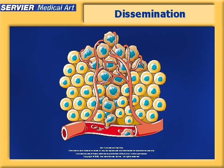A service provided to medicine by Oncology Non