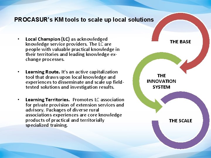 PROCASUR innovationbased Knowledge management empowerment of rural actors