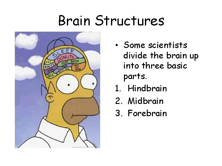 Topic 2 6 The Brain The Brain Part
