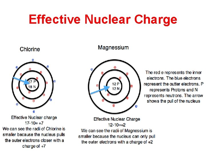 Organization of the Periodic Table What are some