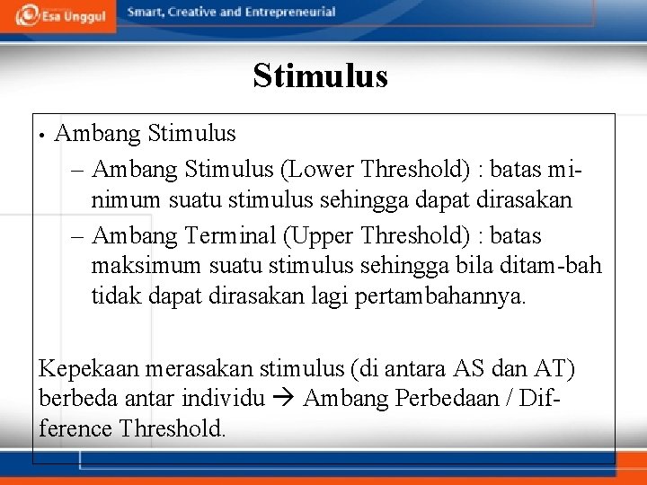 SENSASI DAN PERSEPSI PERTEMUAN 4 NOVENDAWATI WAHYU SITASARI