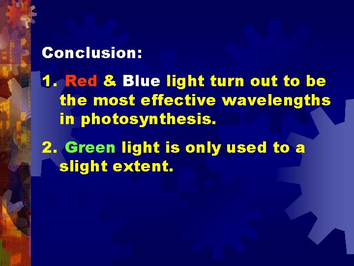 Paper Chromatography 1 Green leaves are ground up