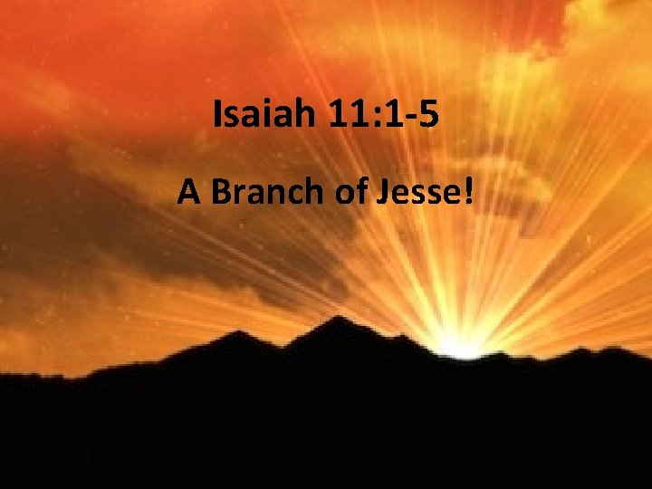 Isaiah 11 1 5 A Branch of Jesse