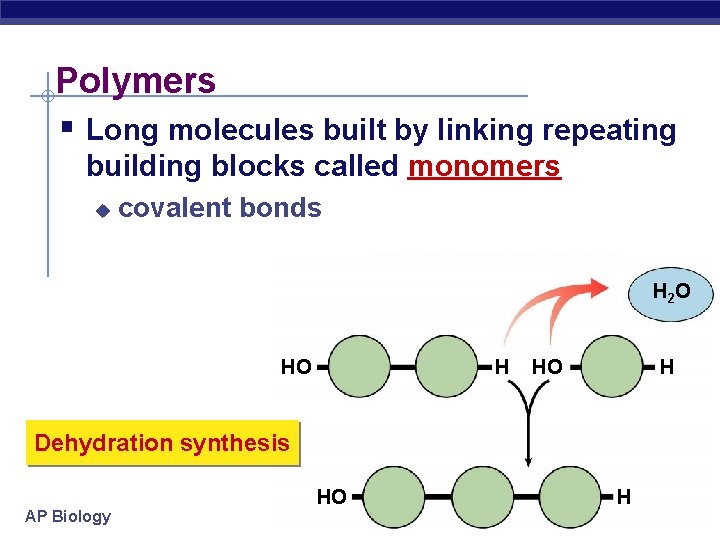 Macromolecules Building Blocks of Life AP Biology 2007