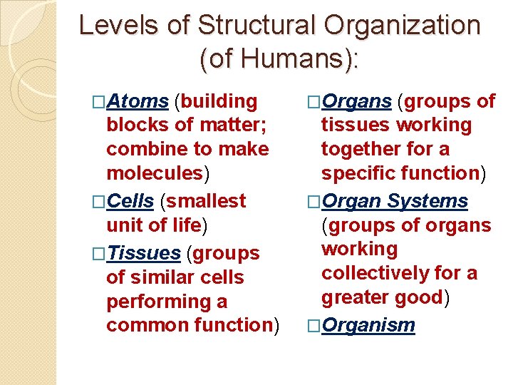 Anatomy Physiology The Human Body An Orientation Introduction