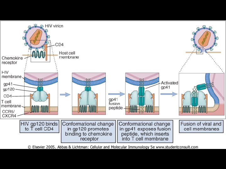 HIV INFECTION AND THE ACQUIRED IMMUNODEFICIENCY SYNDROME AIDS