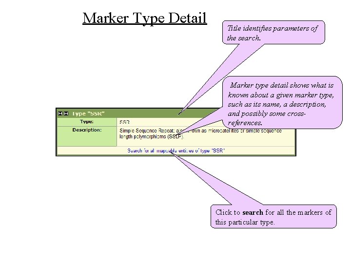 Gramene v 26 Welcome to the Markers Database