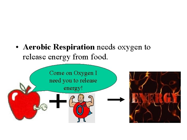 RespirationBreathing How we work play and sleep Ingredients