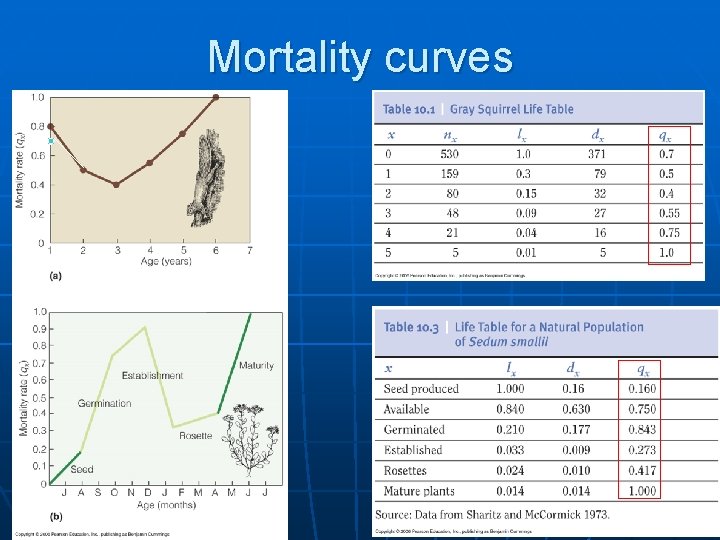 BIOL 4120 Principles of Ecology Lecture 10 Population