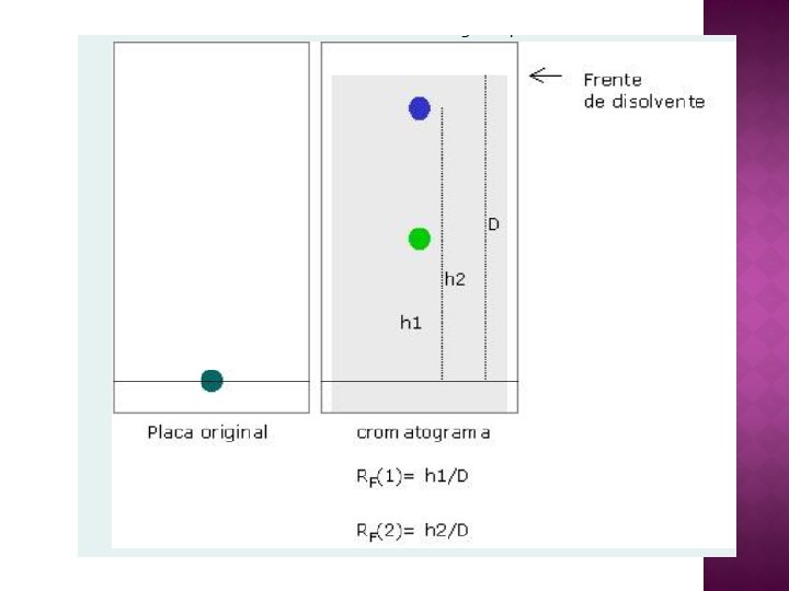 Inventada Mikhail Tswett 1900 para separar distintos pigmentos