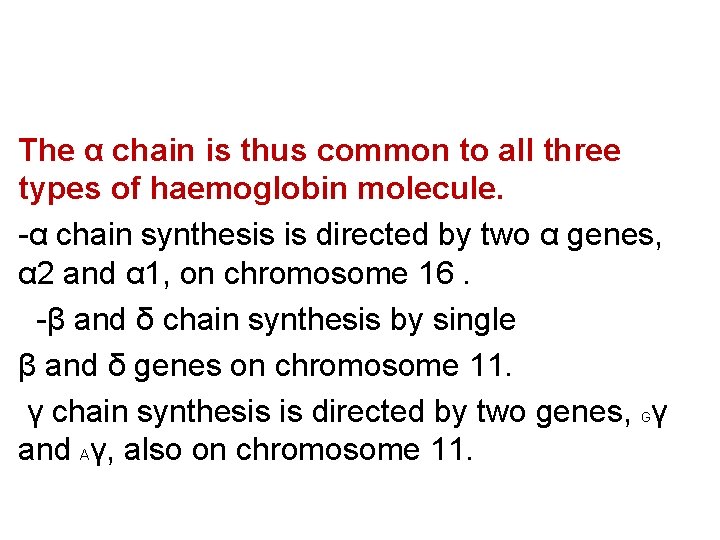 Introduction THE HAEMOGLOBIN MOLECULE Human haemoglobin is formed