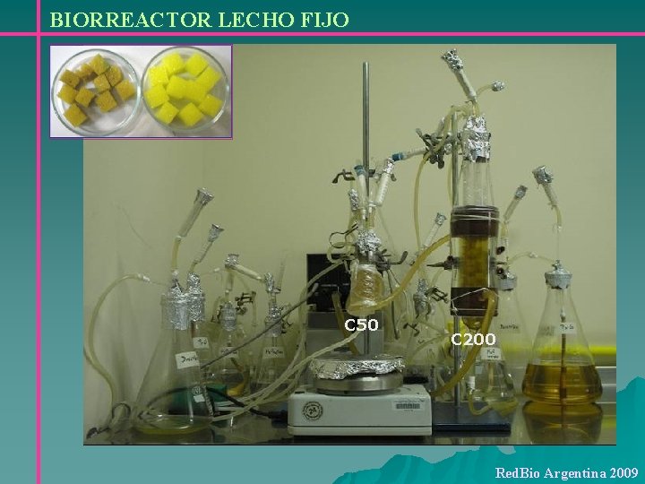 Metales en efluentes industriales Cmo disear un biotratamiento