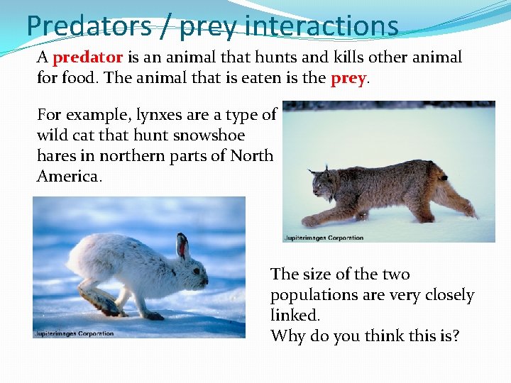 Populations Learning outcomes athe factors that determine size