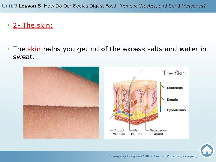 Unit 3 Lesson 5 How Do Our Bodies