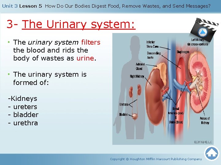 Unit 3 Lesson 5 How Do Our Bodies