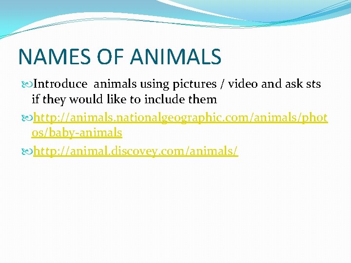 ANIMALS IN THE WORLD SCIENCE ENGLISH MINISTERIO DE