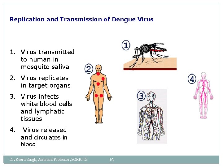 Dengue DR KEERTI SINGH ASSISTANT PROFESSOR SGRRITS Dengue