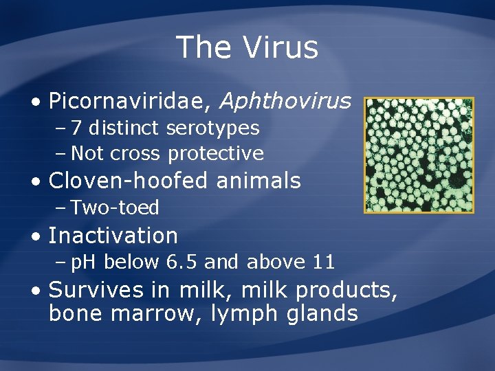 Foot and Mouth Disease Overview Organism Economic Impact