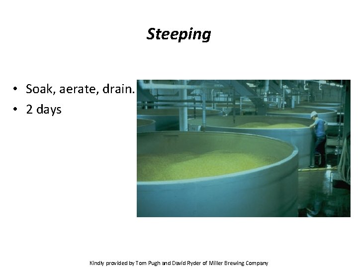 Brewing Science Malts and Grains Ingredients Malted barley