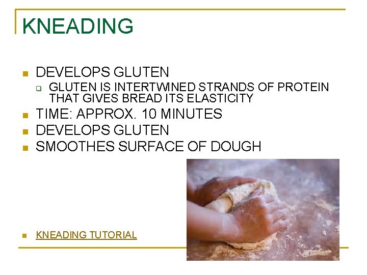 YEASTBREADS A BIOLOGICAL METHOD WHAT IS YEAST n