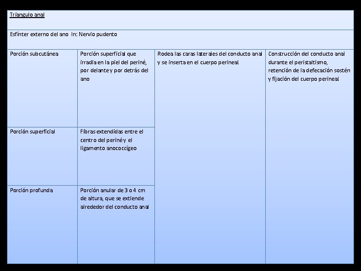 Sistema Reproductor Masculino UNIVERSIDAD DE LAS CIENCIAS MEDICAS