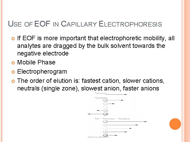 ELECTROPHORESIS BASIC PRINCIPLES GENERAL INTRODUCTION Electrophoresis a ...