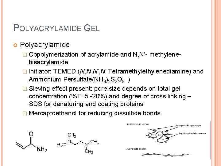 ELECTROPHORESIS BASIC PRINCIPLES GENERAL INTRODUCTION Electrophoresis a ...