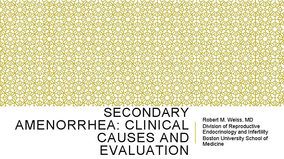 SECONDARY AMENORRHEA CLINICAL CAUSES AND EVALUATION Robert M