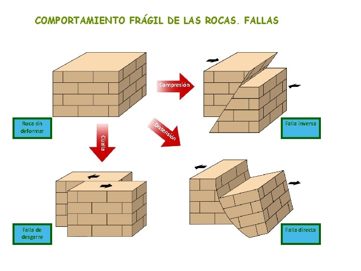 TEMA 5 ESTRATIGRAFA Y DEFORMACIONES DATOS SOBRE LA