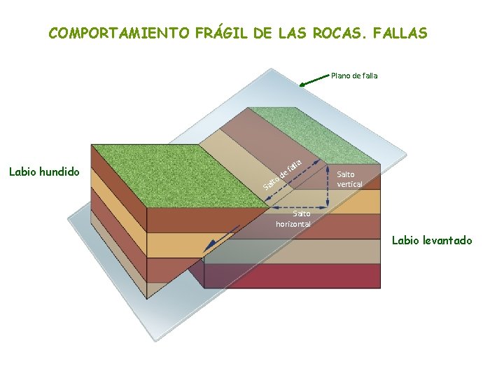 TEMA 5 ESTRATIGRAFA Y DEFORMACIONES DATOS SOBRE LA