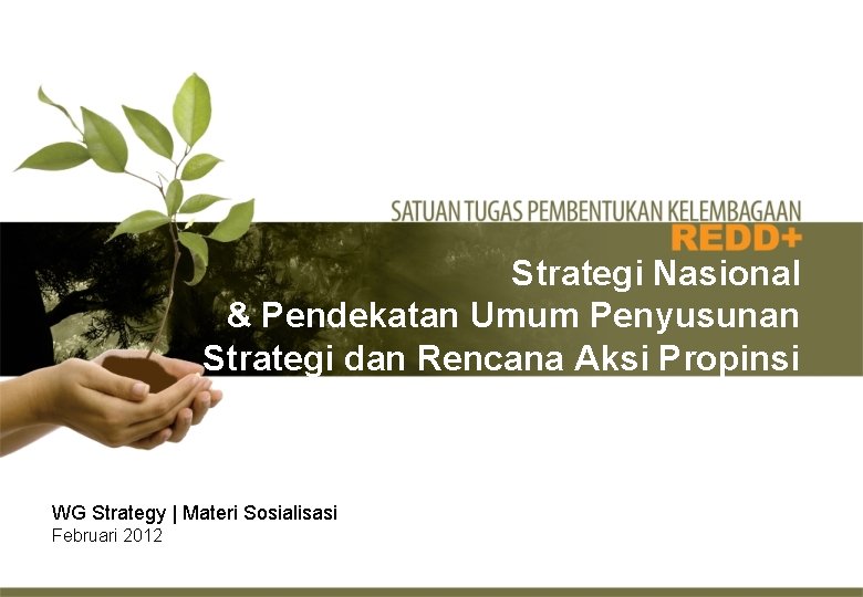 Strategi Nasional Pendekatan Umum Penyusunan Strategi dan Rencana