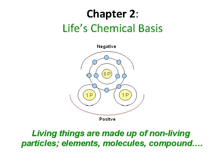 Chapter 2 Lifes Chemical Basis Living things are