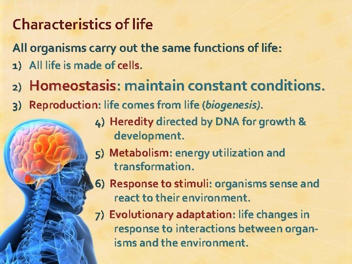 The Nervous System Characteristics of life All organisms