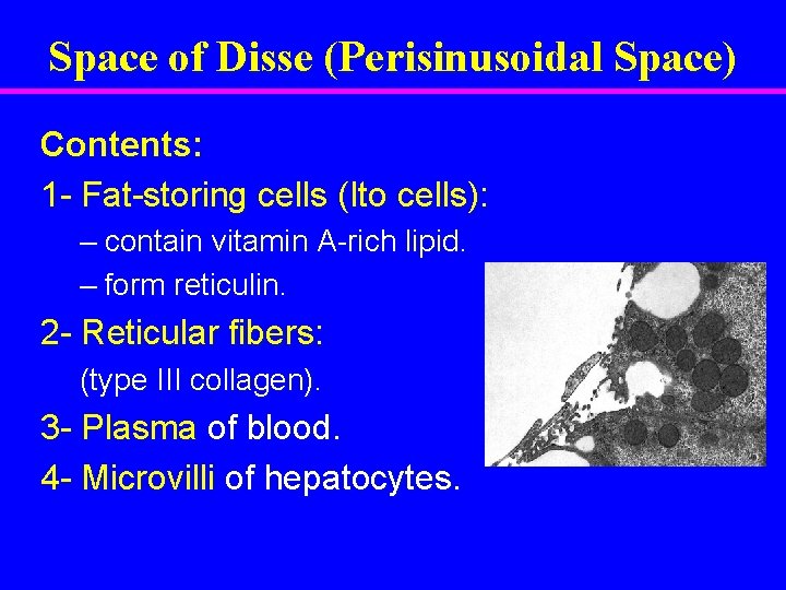 LIVER PANCREAS SPLEEN Objectives By the end of
