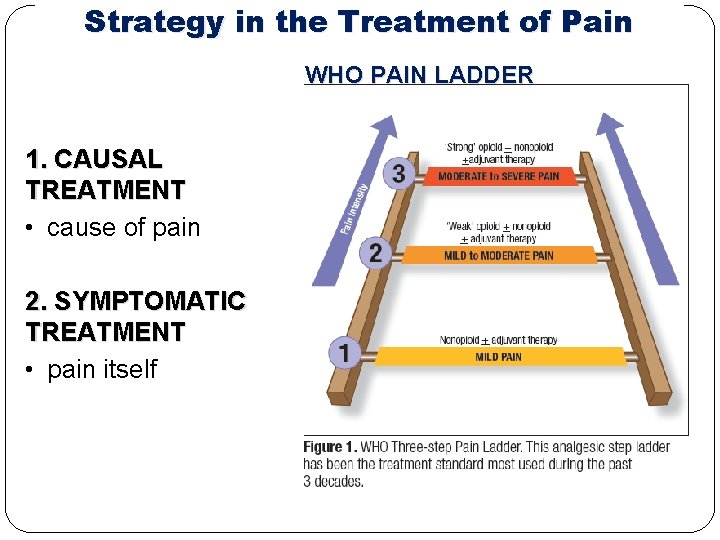 Pharmacotherapy of Pain The Pain Pathway 1 Peripheral
