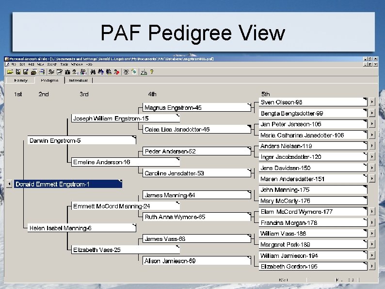 Family History Choosing a Family History Data Manager