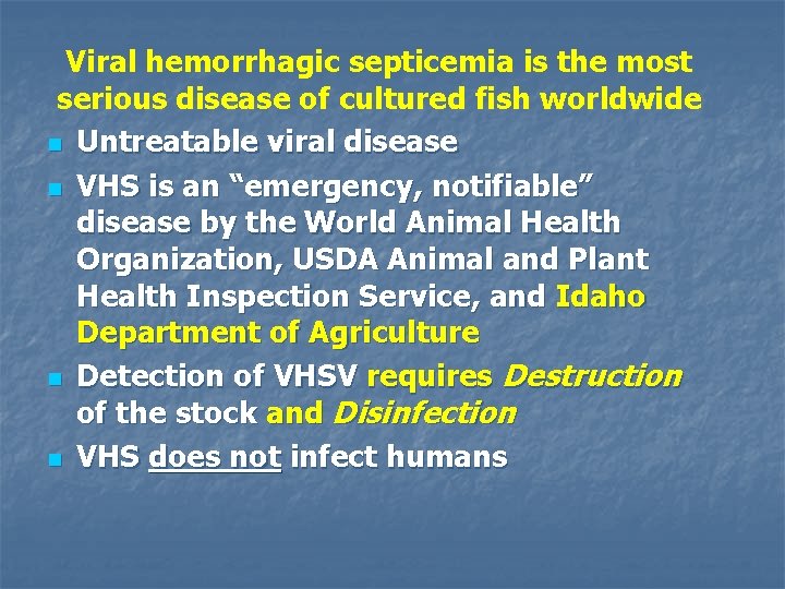 VHS in the Great Lakes and what this
