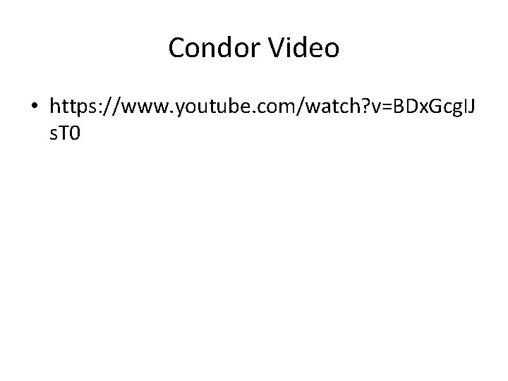 California Condor Fossils from Pleistocene Era 10 000