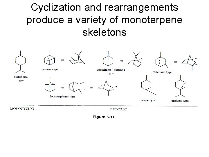 Basic terpene isoprenoid skeletons precursors Resource Chapter 5