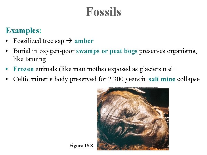 Lecture Outlines Natural Disasters 7 th edition Patrick