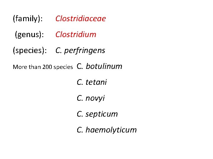 Clostridium Infections and Laboratory Diagnosis family Clostridiaceae genus
