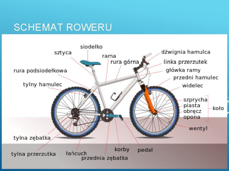 ROWERY Wykonaa Wiktoria Sobelga SCHEMAT ROWERU RODZAJE ROWERW