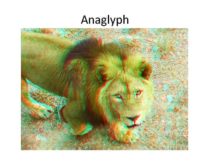 3 D Displays Duncan Lindbo Rebecca Brown Bao