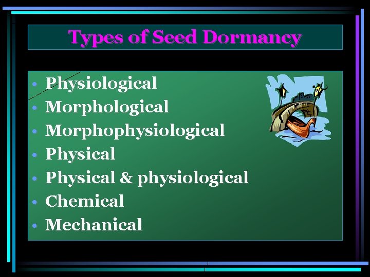 USDA Forest Service National Tree Seed Laboratory Seed