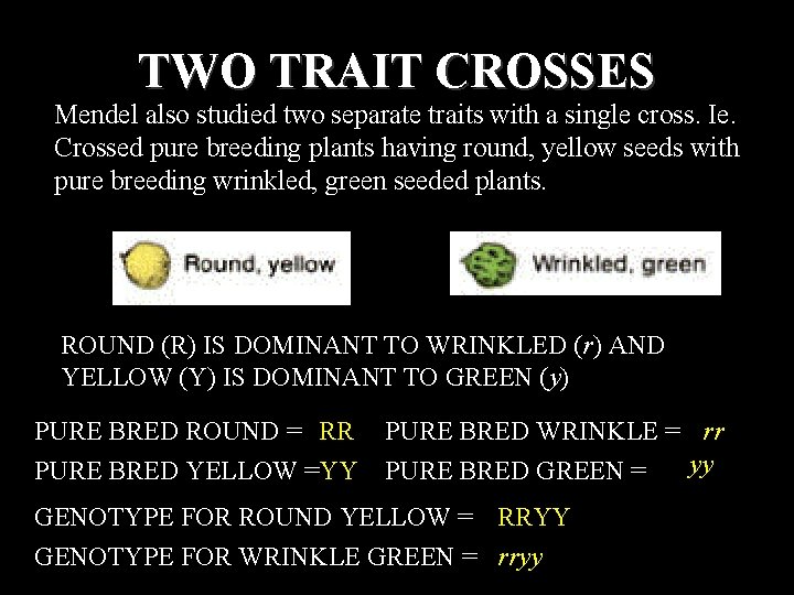 TWO TRAIT CROSSES Mendel also studied two separate