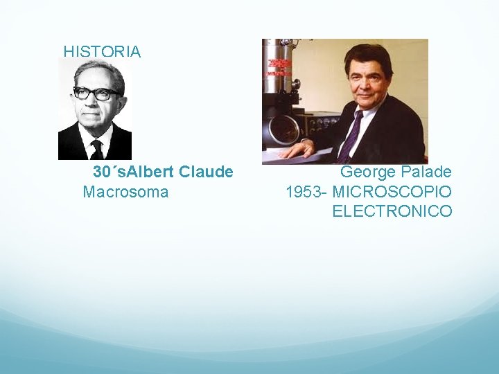 RIBOSOMAS SON ORGANELOS NO MEMBRANOSOS GRANULARES SUSPENDIDOS EN