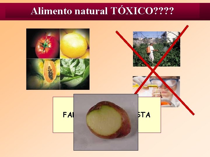 TOXINAS Y ALIMENTACIN Venenos naturales en los Alimentos