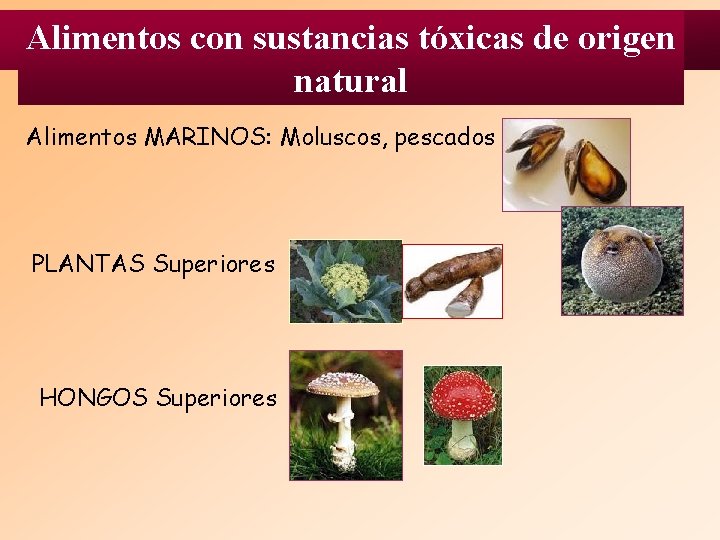 TOXINAS Y ALIMENTACIN Venenos naturales en los Alimentos